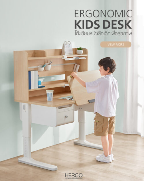 Hergo.co.th – โต๊ะเก้าอี้เพื่อสุขภาพ เฟอร์นิเจอร์