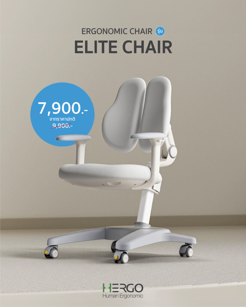 ELITE CHAIR – Hergo.co.th